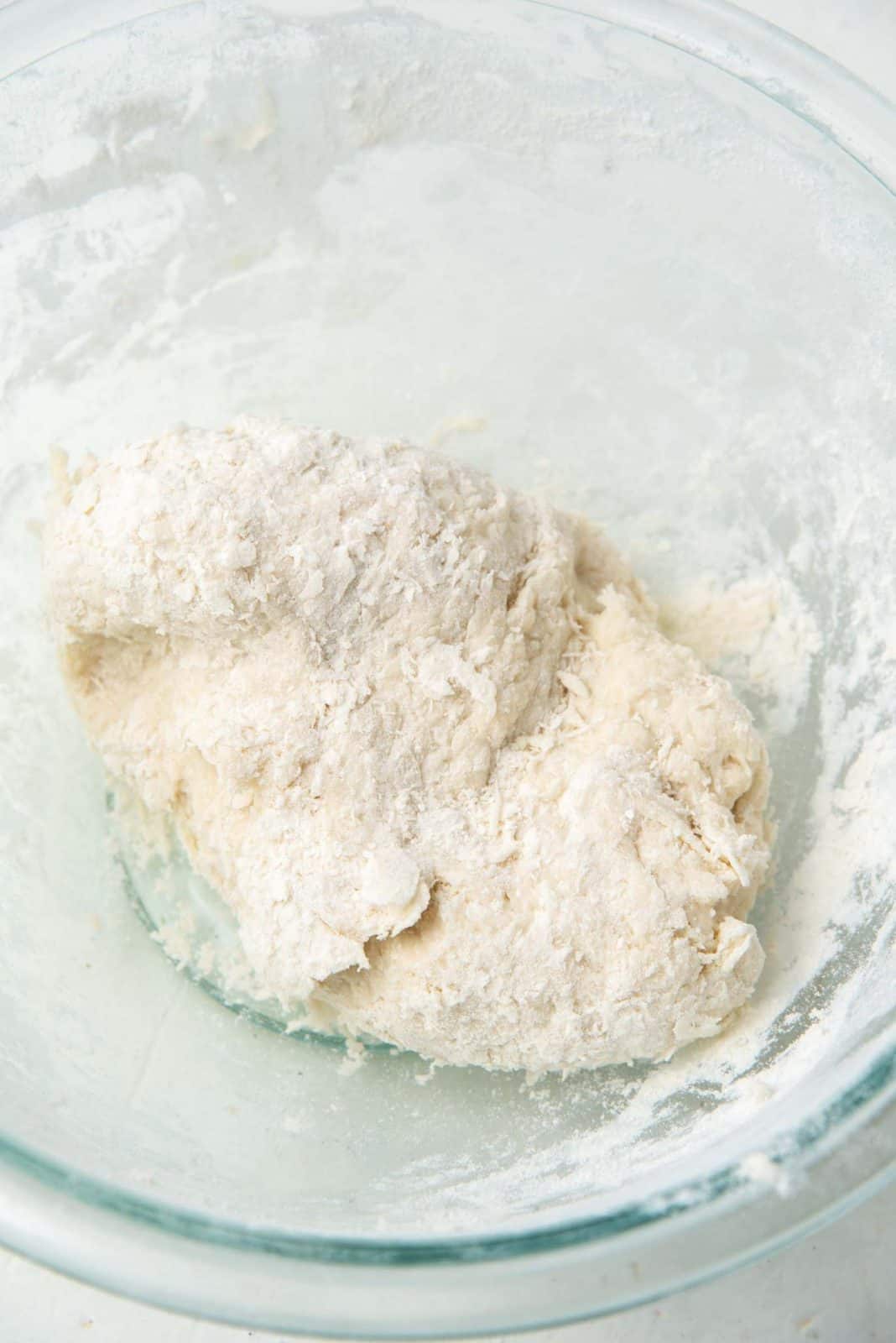 Perfect Dumpling Dough (For Beginners) - The Flavor Bender