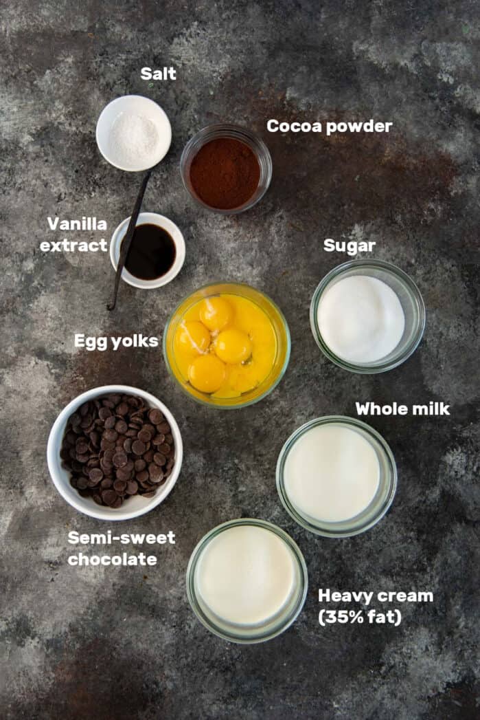 The Best Chocolate Ice Cream Recipe (Creamy & Fudgy) - The Flavor Bender