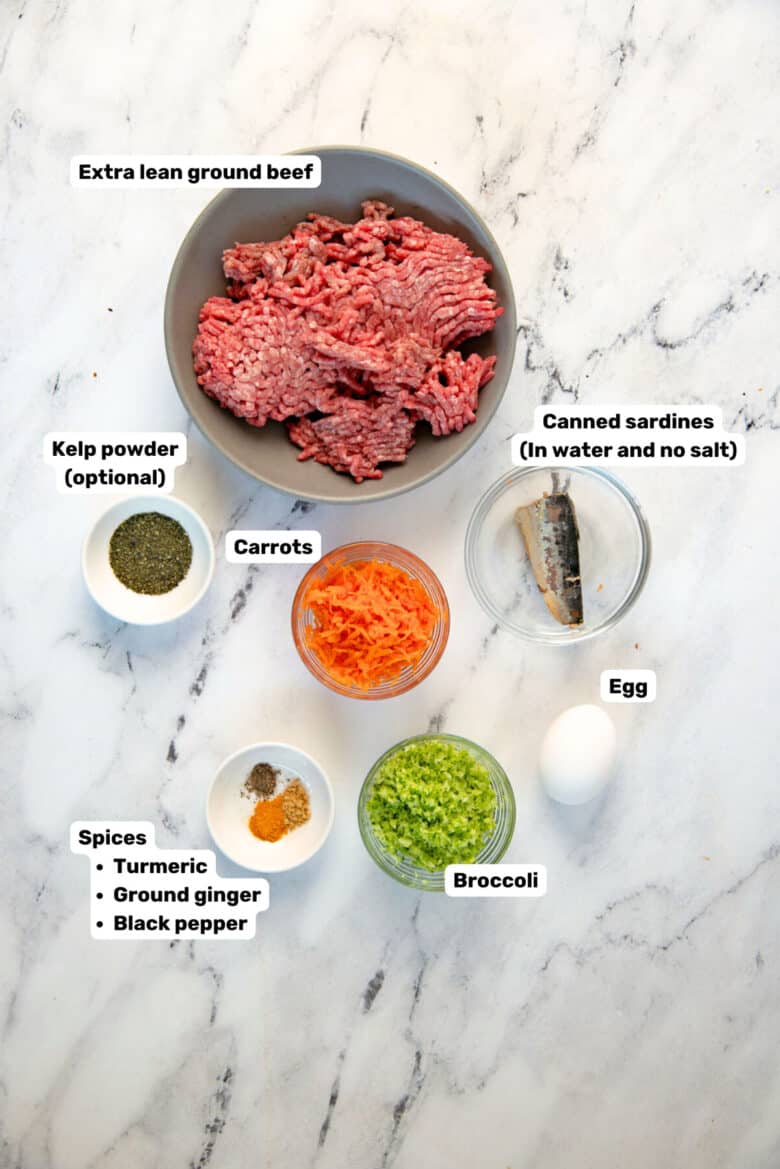 Meatballs For Dogs (Dog-friendly Spaghetti and Meatballs) - The Flavor ...