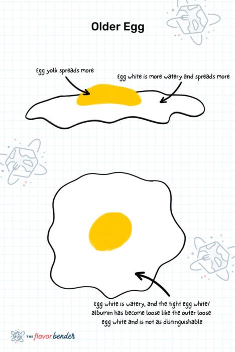 Egg Float Test (How To Tell If Eggs Are Fresh) - The Flavor Bender