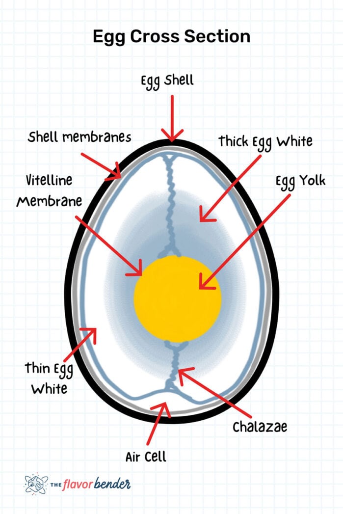 Egg Float Test (How To Tell If Eggs Are Fresh) - The Flavor Bender