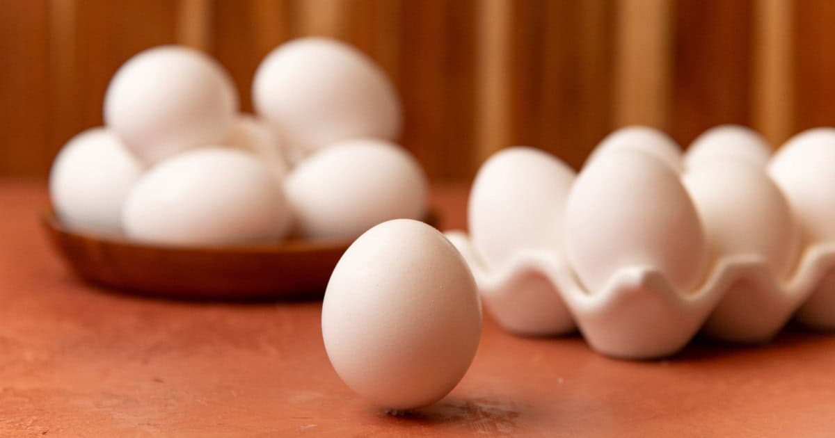 Egg Float Test (How To Tell If Eggs Are Fresh) - The Flavor Bender