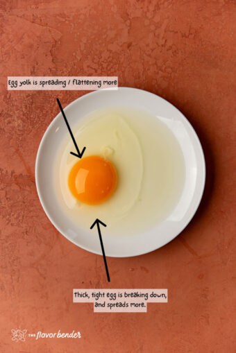 Egg Float Test (How To Tell If Eggs Are Fresh) - The Flavor Bender