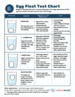 Egg Float Test (How To Tell If Eggs Are Fresh) - The Flavor Bender