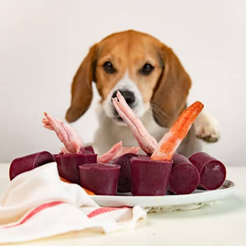 Homemade Dog Popsicles (Pupsicles) - The Flavor Bender