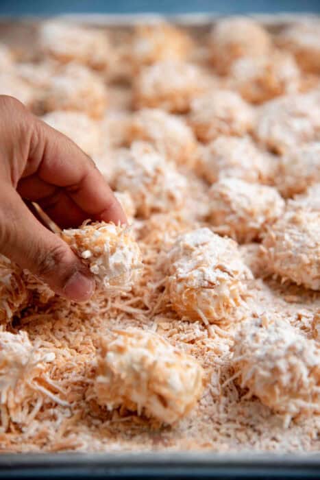 The Best Toasted Coconut Marshmallows - The Flavor Bender